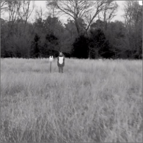 CREATION CREATINE + IGF-1 – AfterDark Supplements